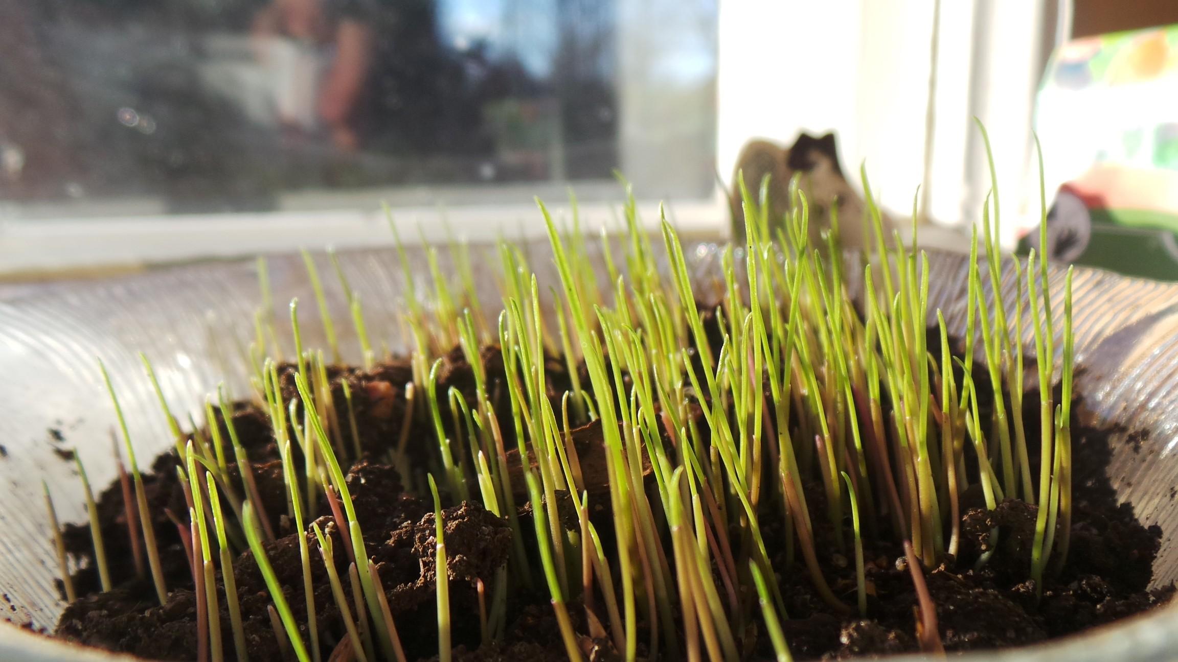 Kevät tulee! Kaikki pilalla! - Puutalobaby