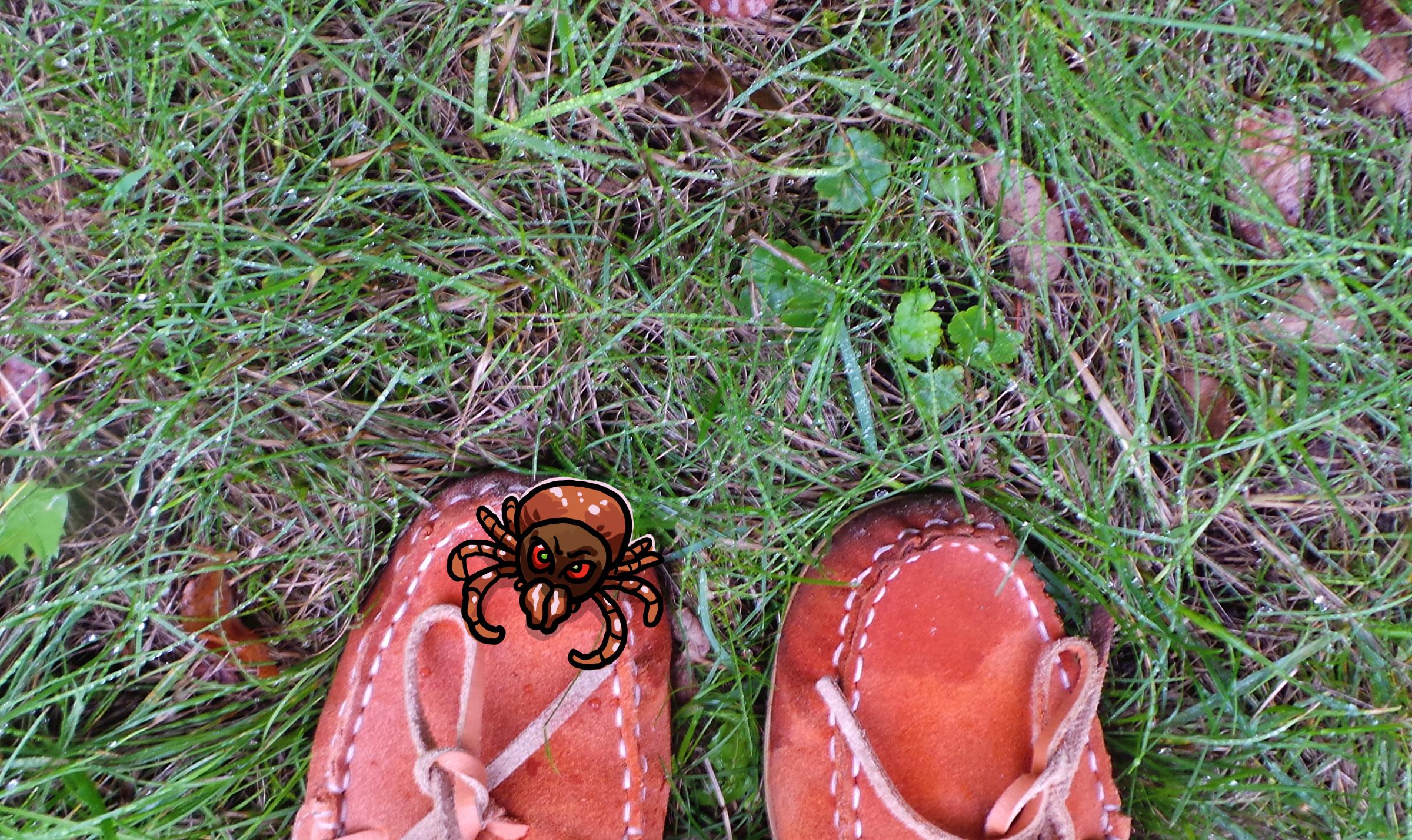 Punkkikausi ei ole ohi - Puutalobaby